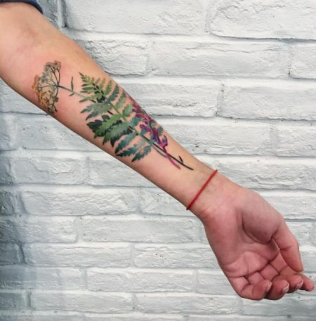 Fern Tattoo: 43 Most Delicate and Creative Fern Tattoo Ideas Ever Created