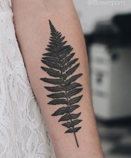 Fern Tattoo: 43 Most Delicate and Creative Fern Tattoo Ideas Ever Created