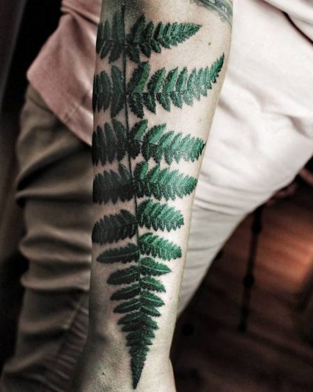 Fern Tattoo: 43 Most Delicate and Creative Fern Tattoo Ideas Ever Created