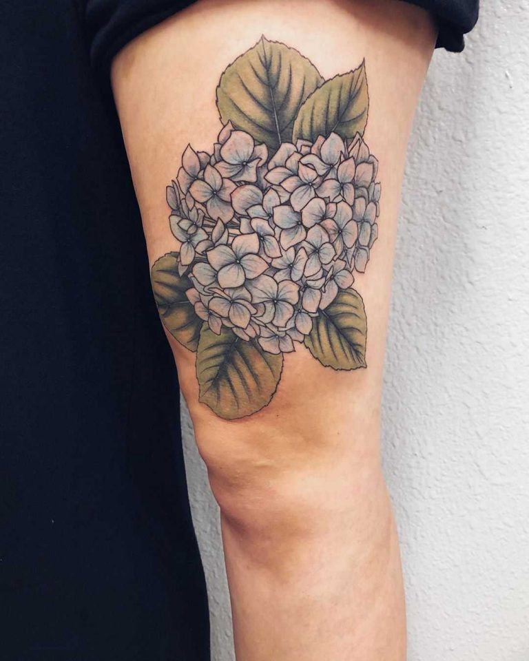Hydrangea tattoo: 60+ beautiful ideas and their meanings